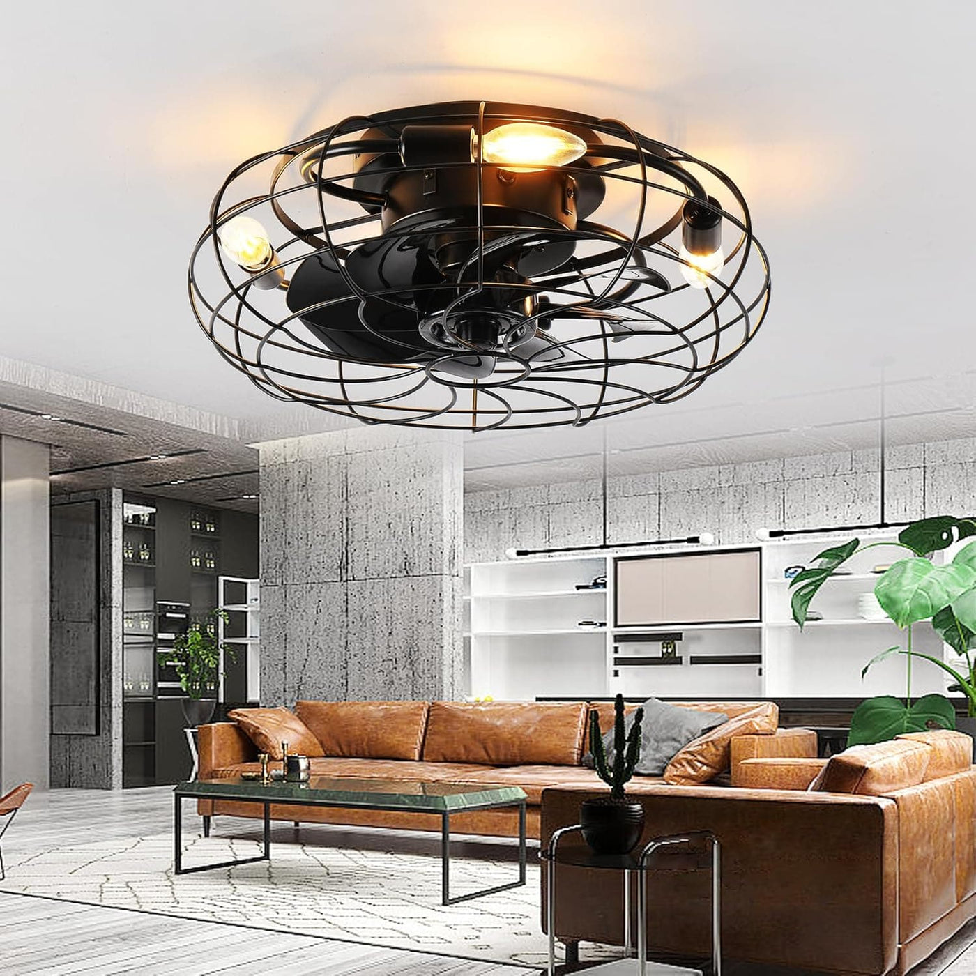 Caged Enclosed Low Ceiling Fan, Bladeless Ceiling Fan with Light and R ...