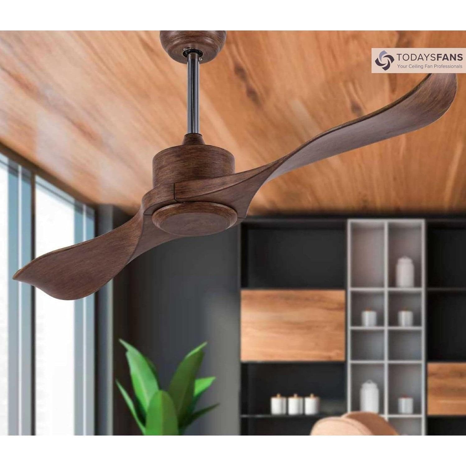 Contemporary Elegant 2-Blade Ceiling Fan with Remote and Wall Control ...